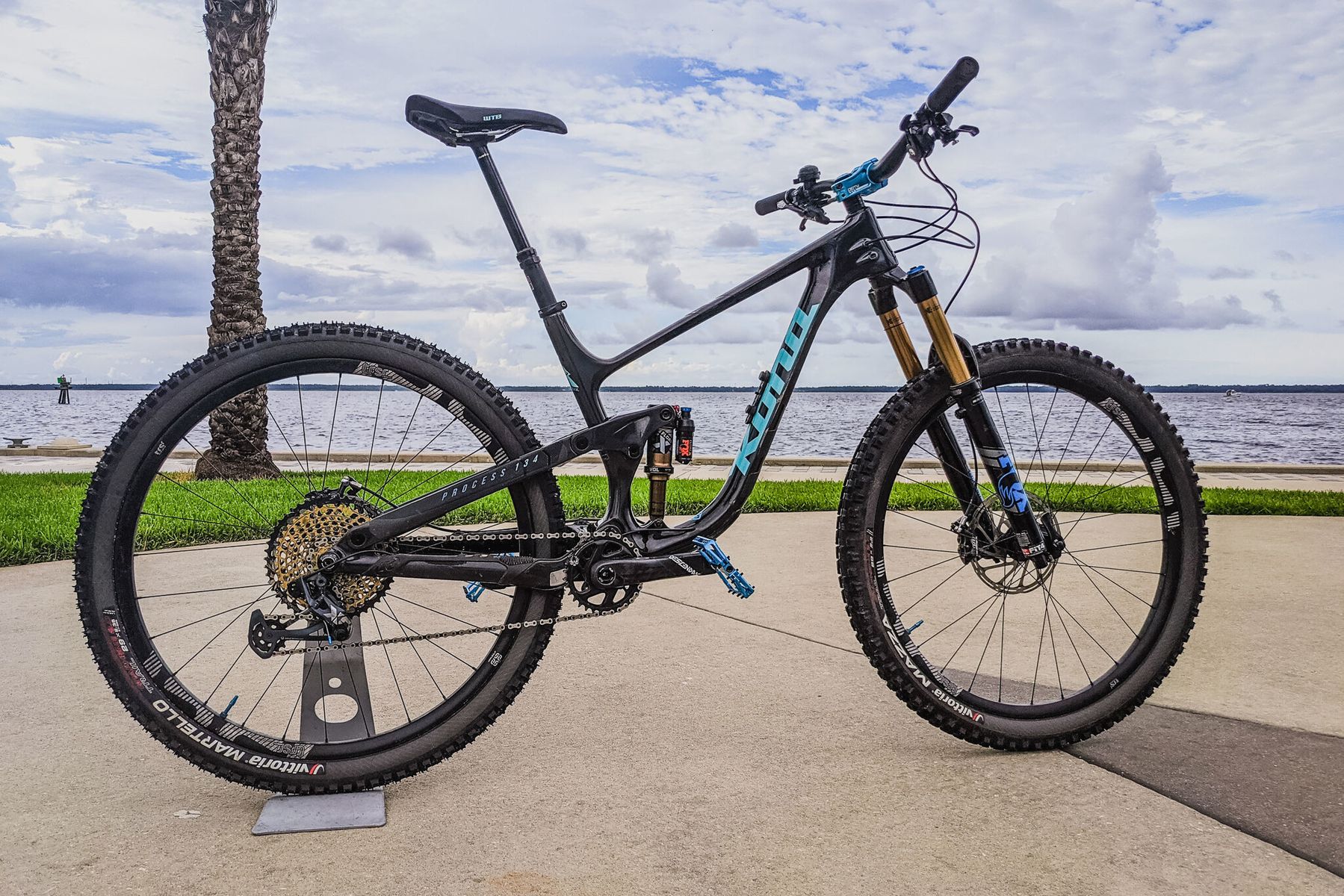 Bryan's Kona Process 134 Dream Build