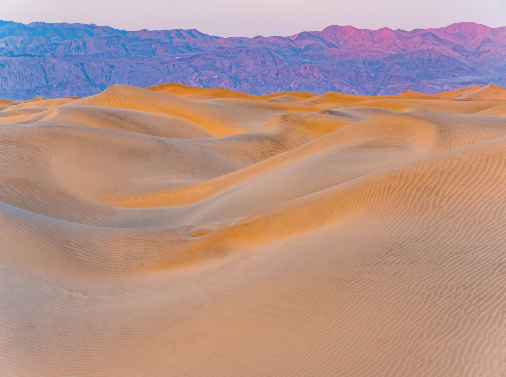 Reviews | MI Puzzles by Phil Stagg Photography