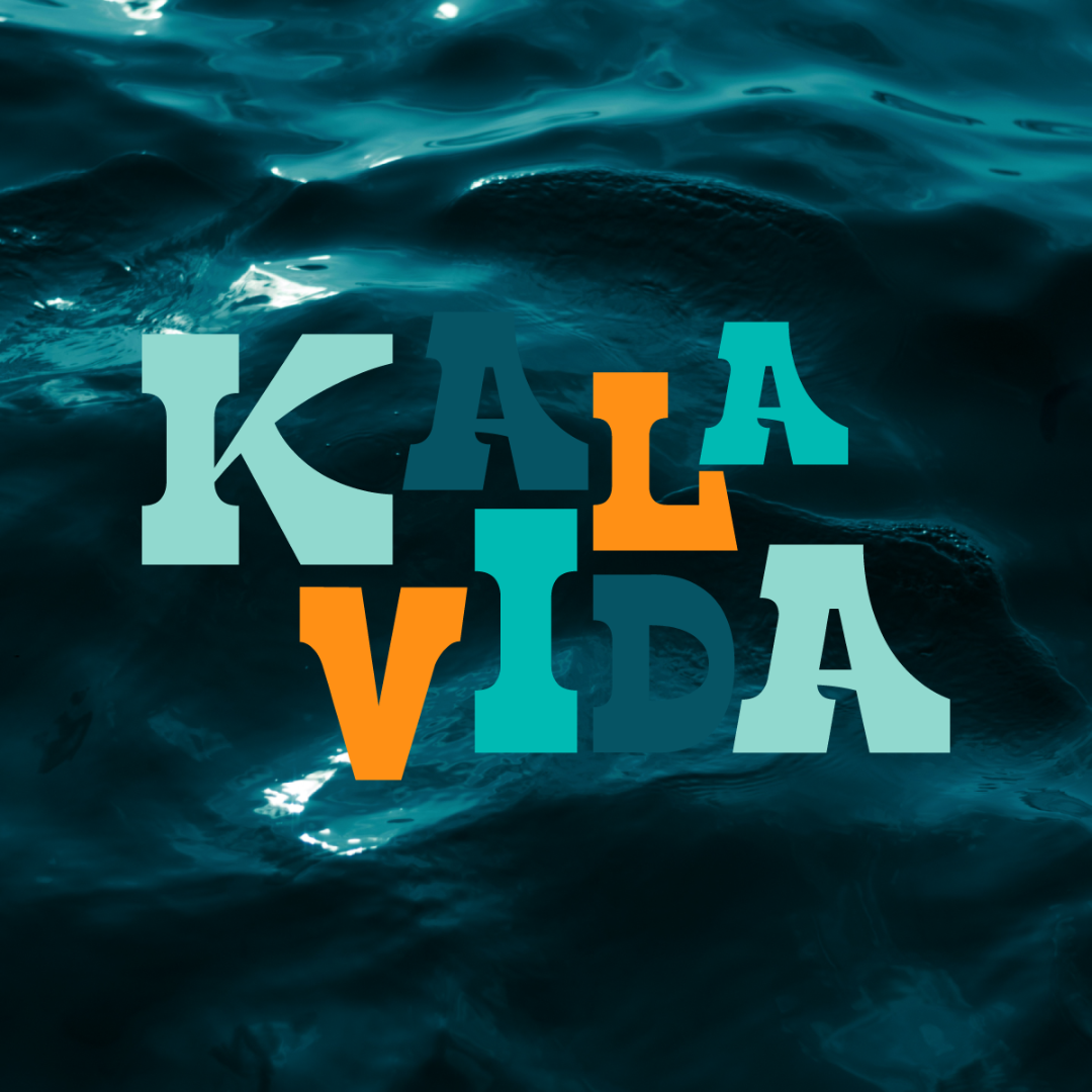 Events & Activities at Kalavida