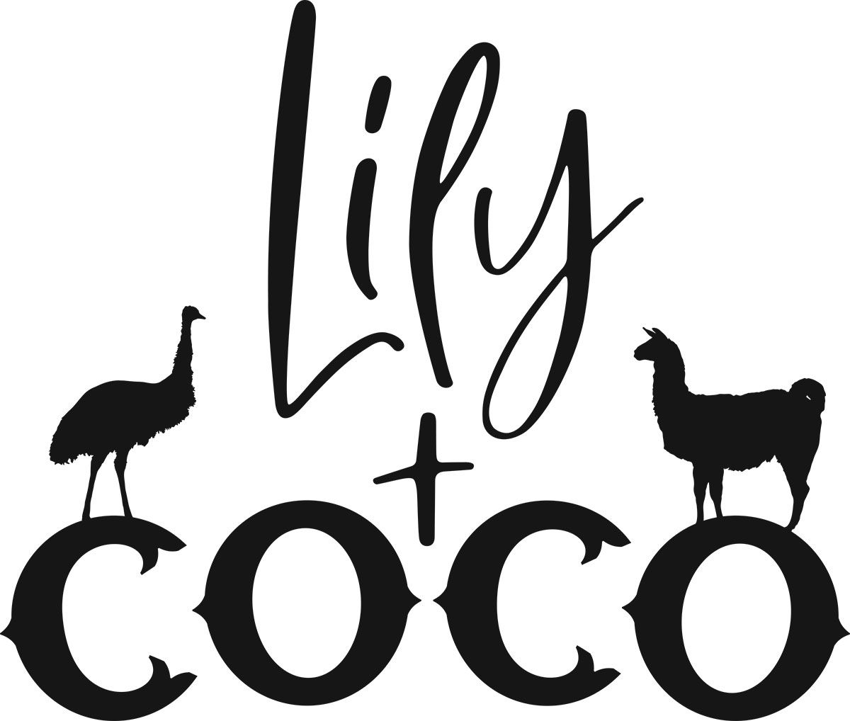 Lily + Coco Shops | Boutique Gift Store in Blue Ridge, GA