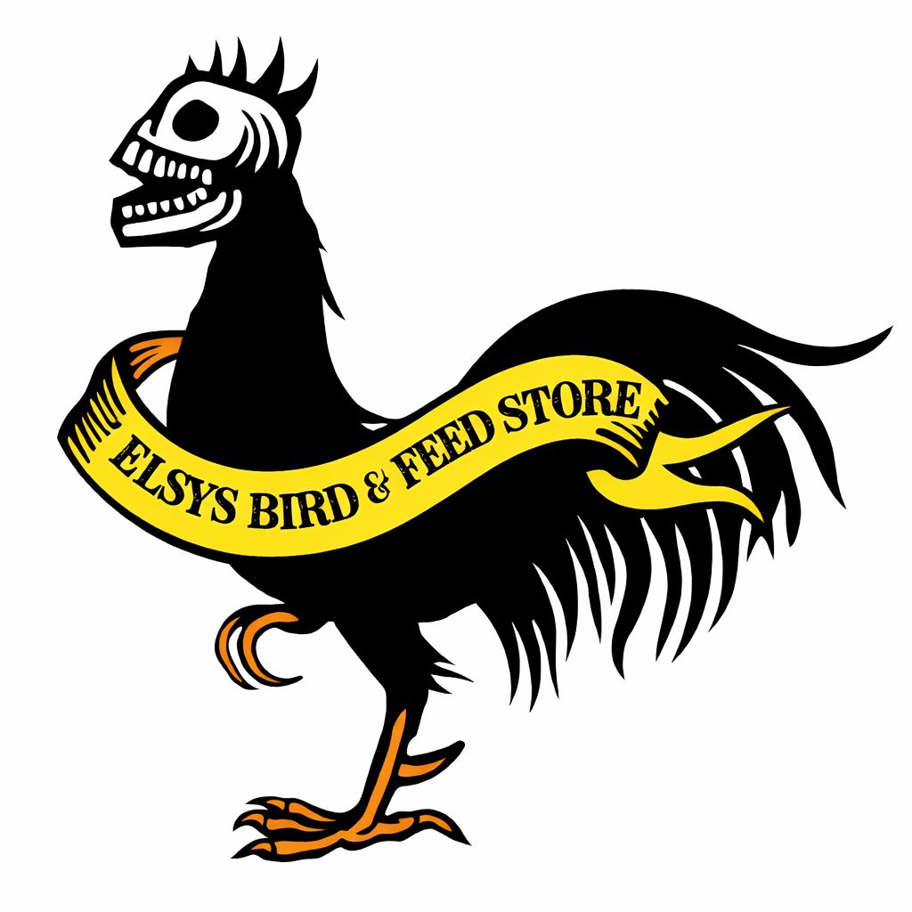 Elsy’s Birds and Feed Store | Birds, Feed, Medications, Supplies & More