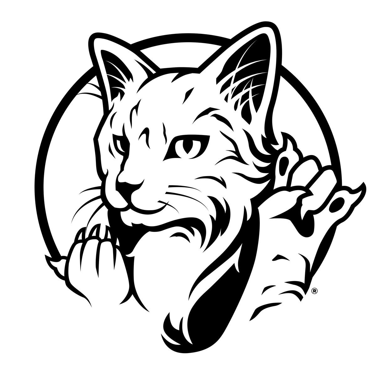 Rockin' Cat - U.S. Web Shop
