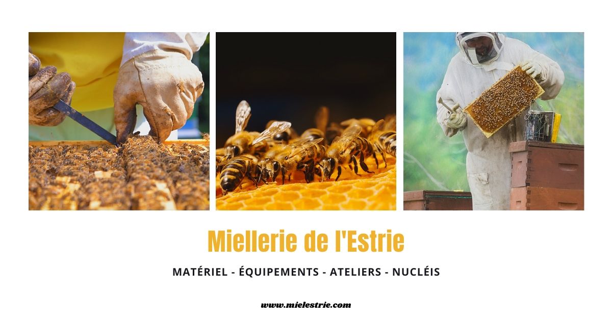 Miellerie de l'Estrie