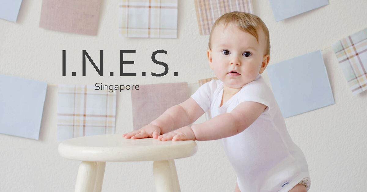 I.N.E.S. Singapore