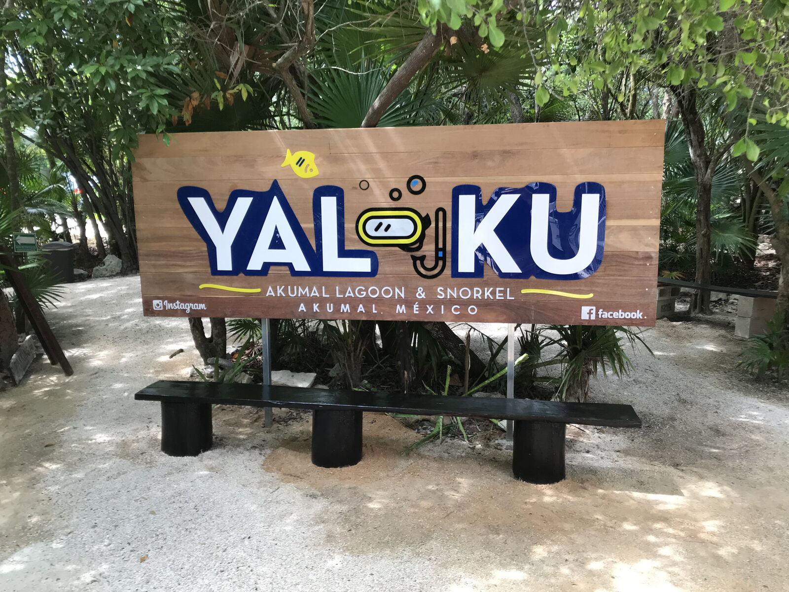 YALKU Akumal Lagoon & Snorkel