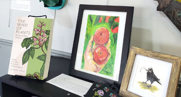 Push/Pull Seattle Store