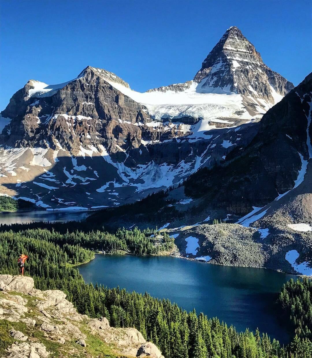 Tim Ross Packer Artist